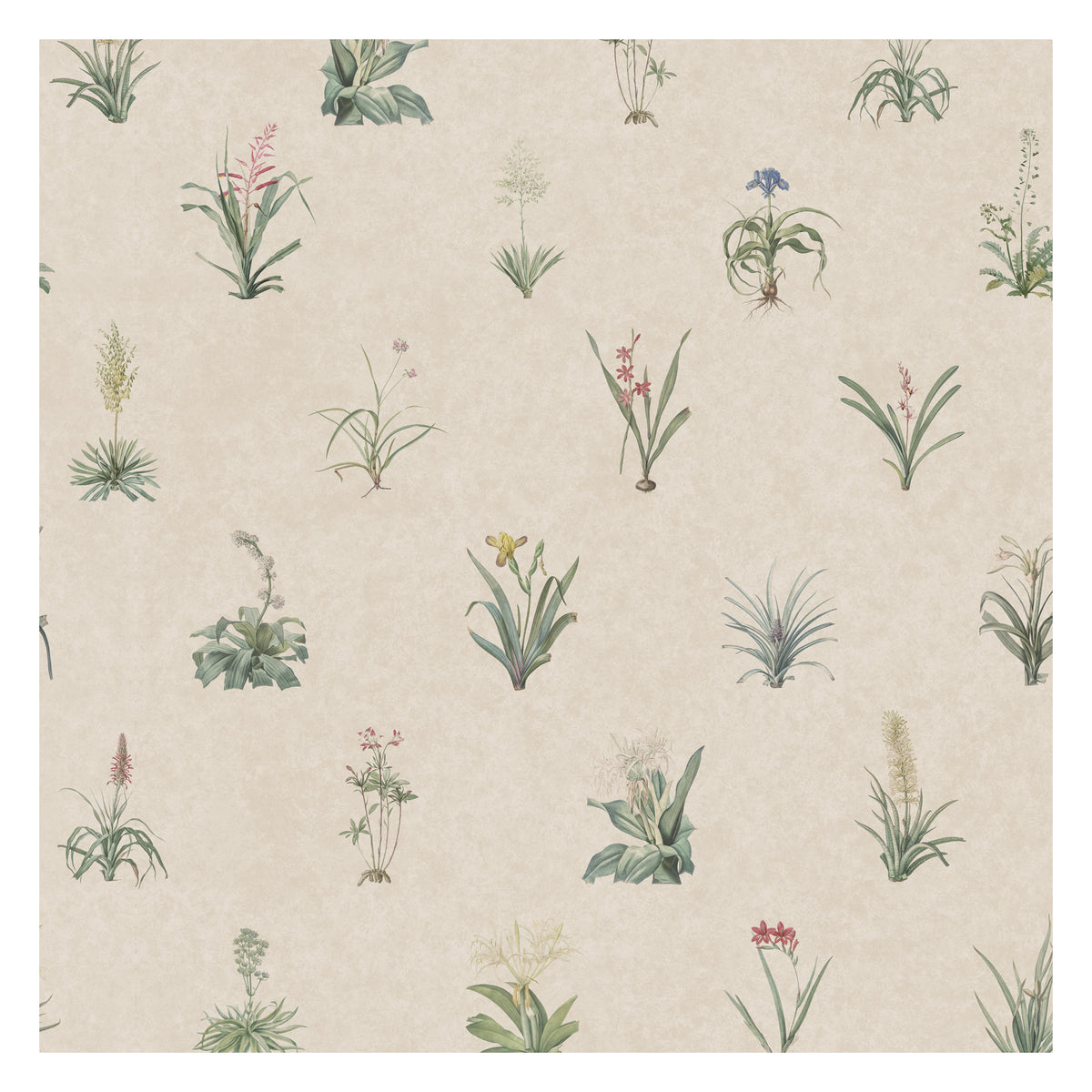 Botanical Breeze – Jumig